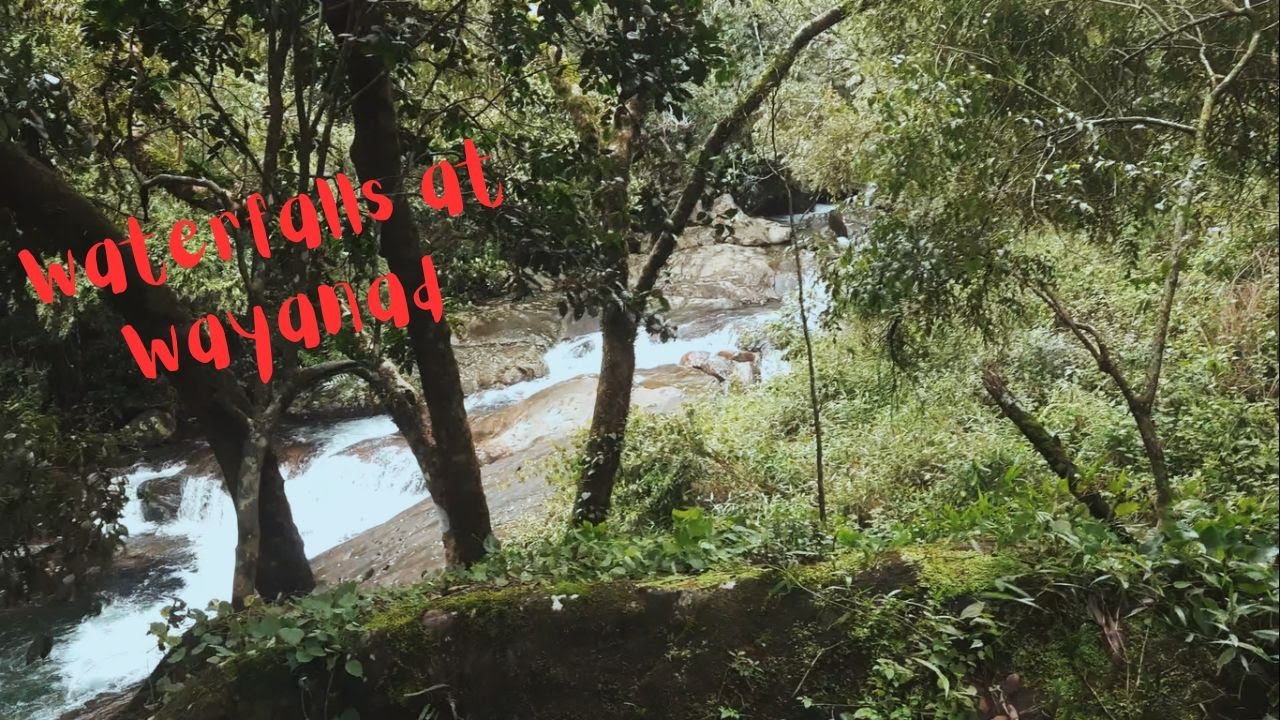 Episode 3 Waterfalls at Wayanad 1 - YouTube