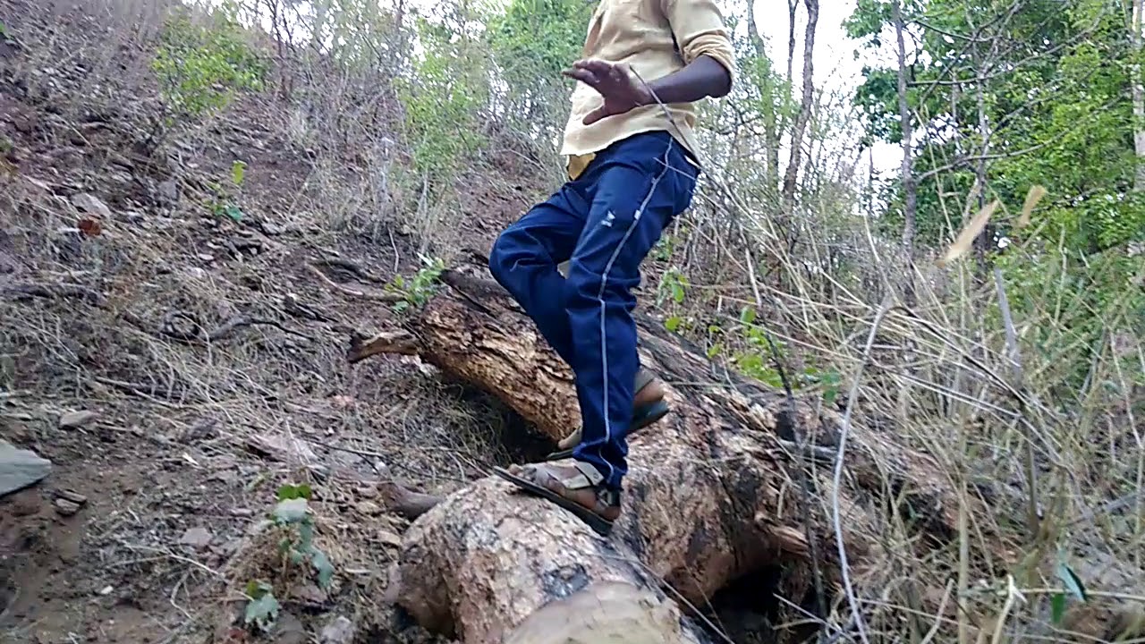 Pramod Maravi MP - YouTube