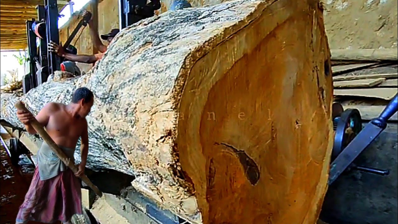 Sawmill Wood Cutting || Amazing Woodworking Factory 🪵🌳🚪 - YouTube