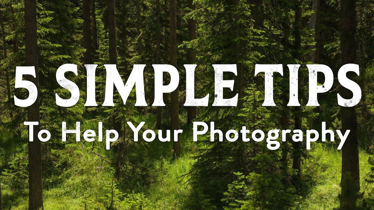 5 (Simple) Camera Tips In 5 Minutes To Help Your Landscape Photography ...