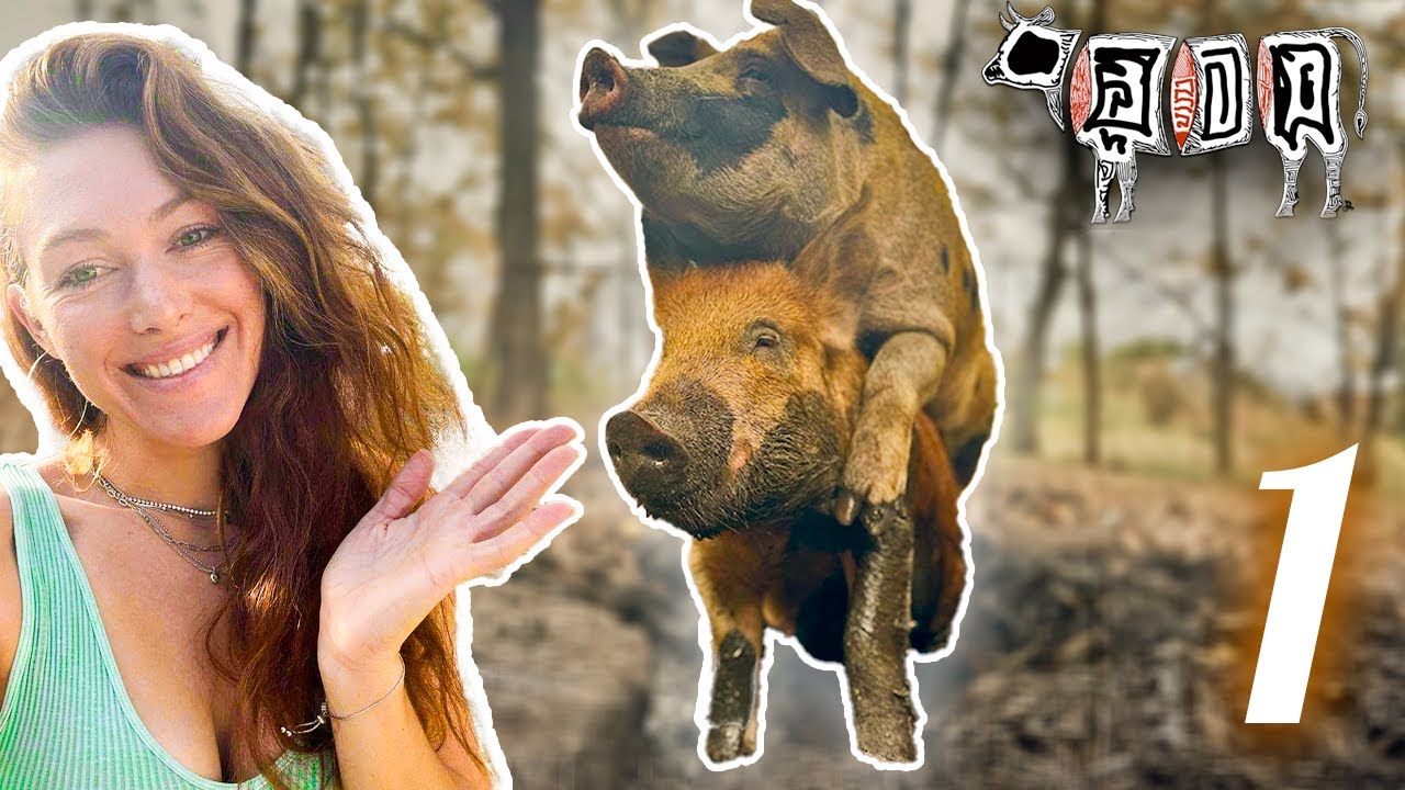 Cali Girl Goes Country: Episode 1 - Exploring Ethical Pig Farming in ...