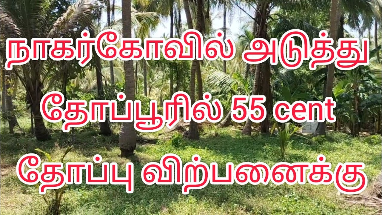 நாகர்கோவில் அடுத்த தோப்பூரில் 55 cent தோப்பு விற்பனைக்கு - YouTube