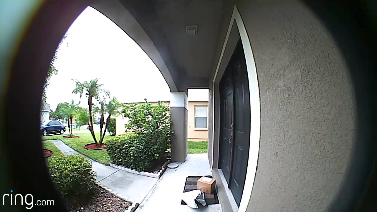 Ring Video Door Bell - UPS Delivery - YouTube