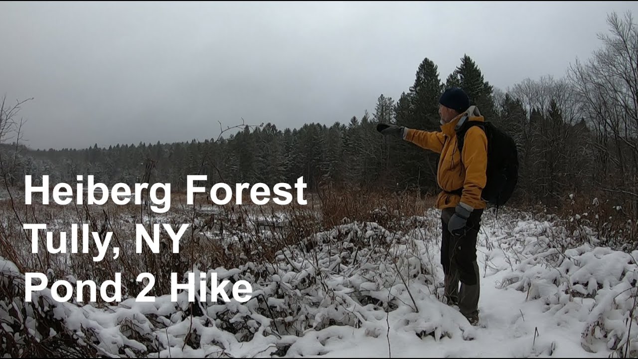Heiberg Forest - Pond 2 Hike - YouTube
