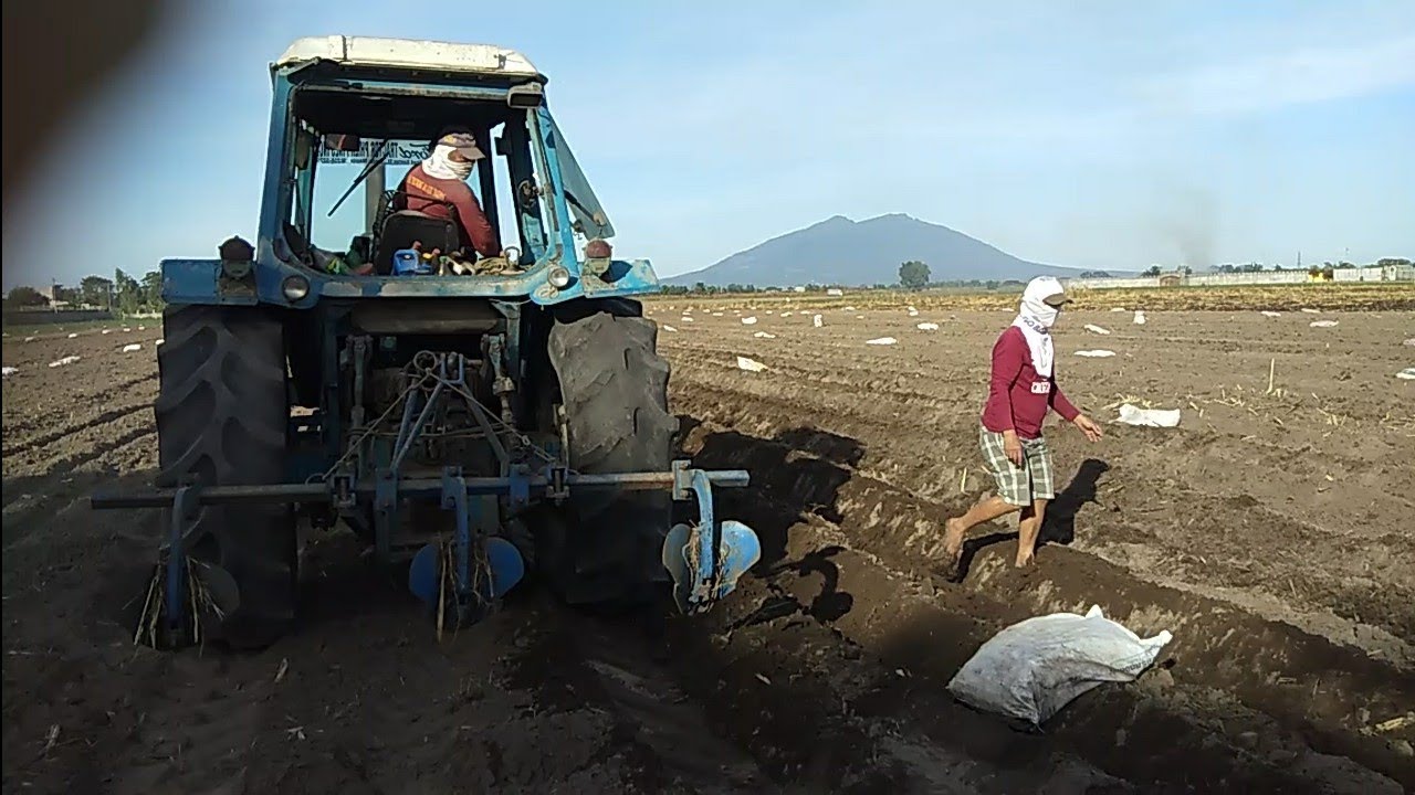 buhay magtatanim ng tubo(sugar cane) - YouTube