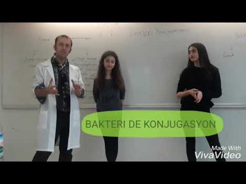 BAKTERIDE KONJUGASYON