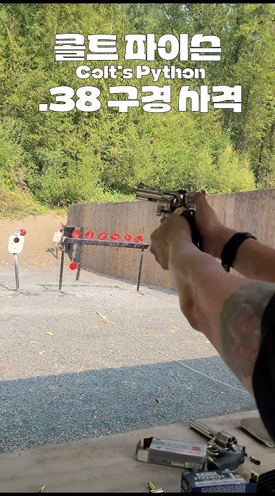 Colt's Python .38구경 사격 #shooting #사격 #실총사격 #steeltargets #python #콜트파이슨 #콜트파이손 #coltpython - YouTube