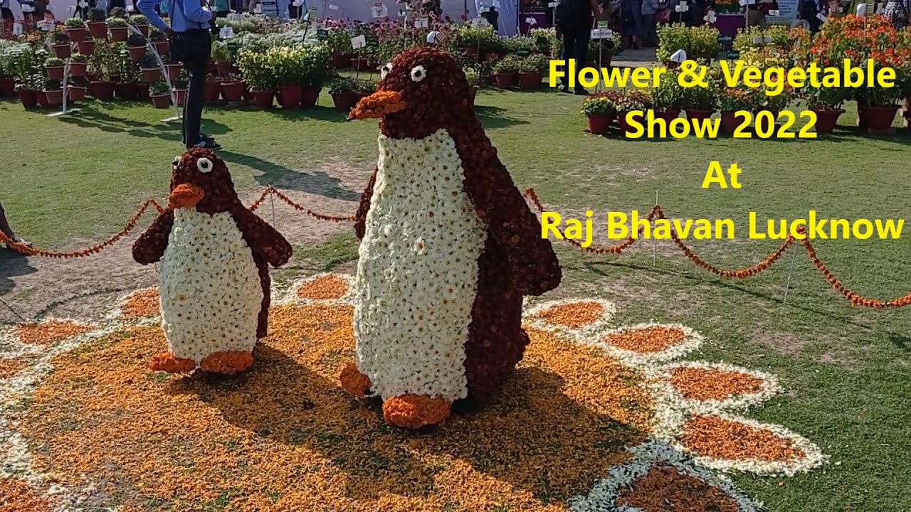 Flower & Vegetable Show- At Raj Bhavan, Lucknow 2022 । Lucknow City ...