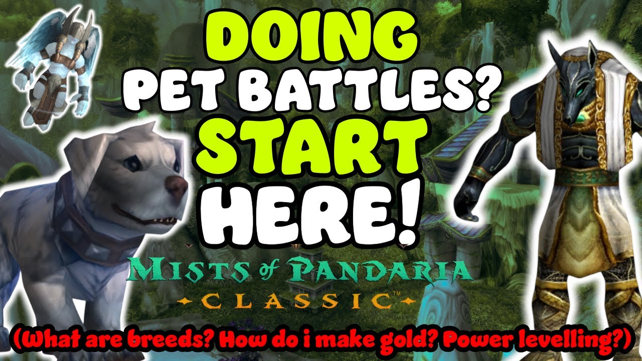 Everything from basic to advanced! Pet Battles in MoP Classic! - YouTube