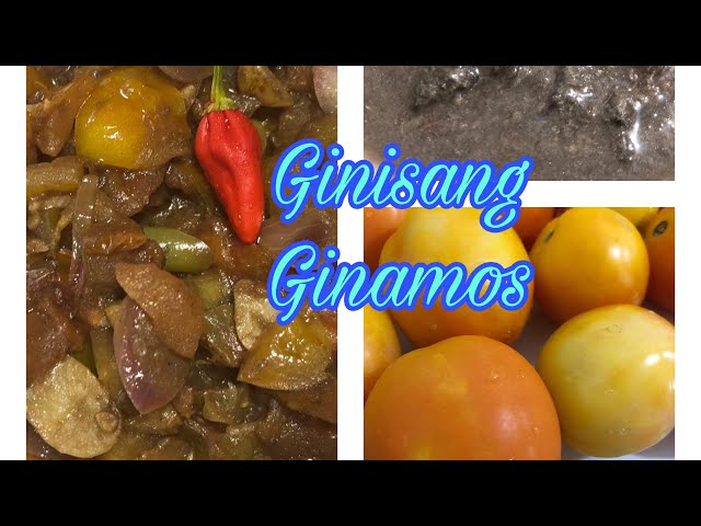 Ginisang Ginamos
