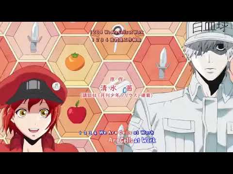 AMV』Hataraku Saibou OP Full - Mission! Ken・Kou・Dai・Ichi ／ Red, White, Killer T, Macrophage