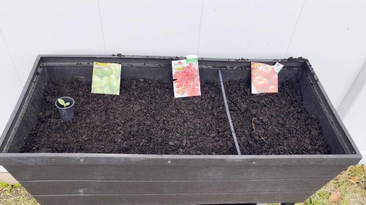 Inflation Garden 2024 Week 1 - YouTube