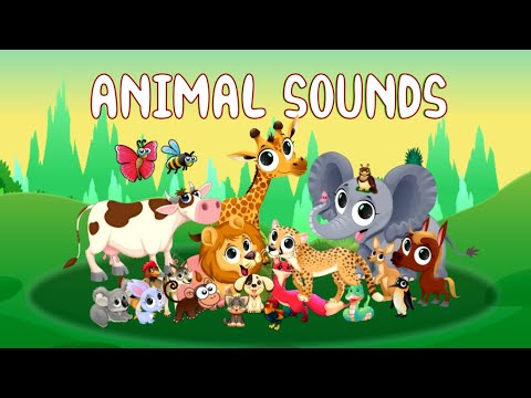 ANIMAL SOUNDS FOR KIDS - YouTube