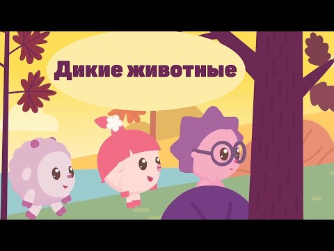Малышарики 2D - Дикие животные.