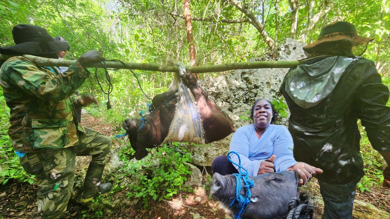 Non-Stop hunting Adventure wild boar catch and release in the jungle ...