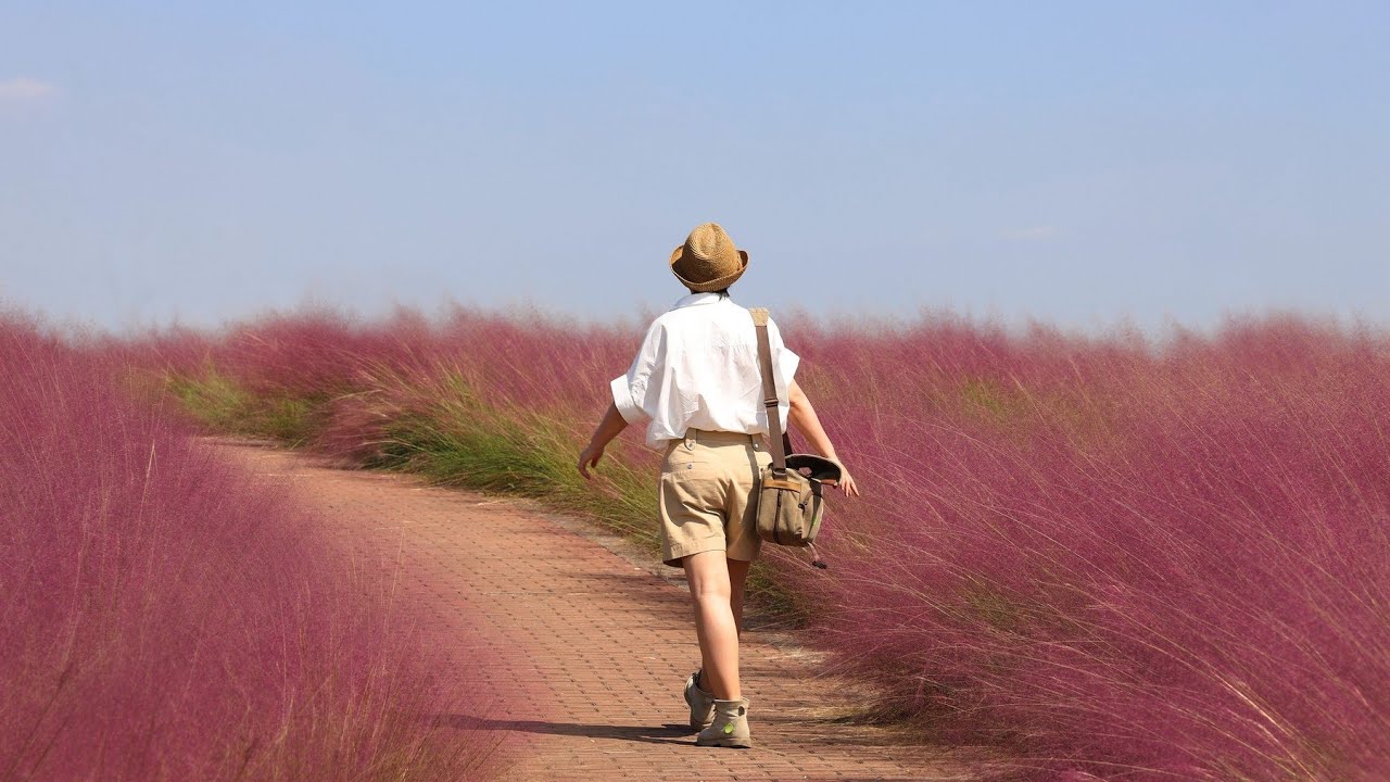 Metro - Yung Logos - hip - hop & rap song | background music ...