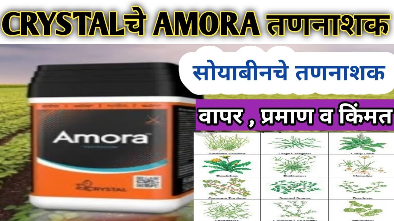CRYSTAL AMORA HERBICIDE | AMORA HERBICIDE | सोयाबीनचे तणनाशक ...