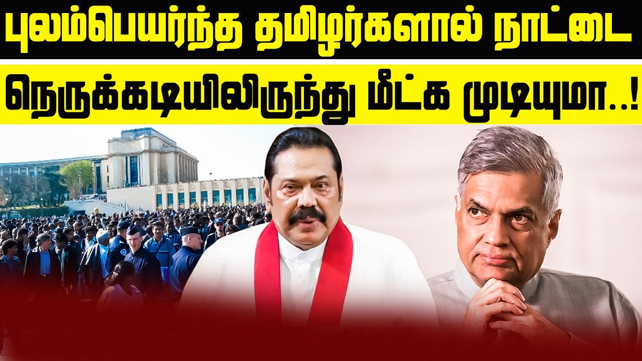 புலம்பெயர்ந்த தமிழர்களால் நாட்டை நெருக்கடியிலிருந்து மீட்க முடியுமா ...