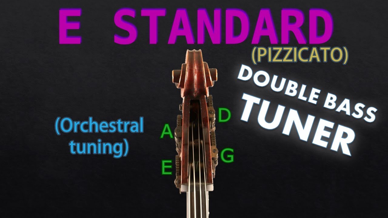Double Bass - Standard Tuning (PIZZICATO) (Tuner) - YouTube