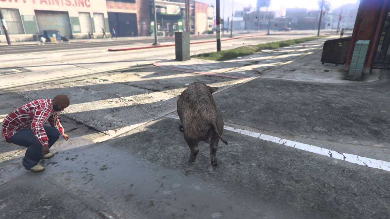 Grand Theft Auto V - A boar in town - YouTube