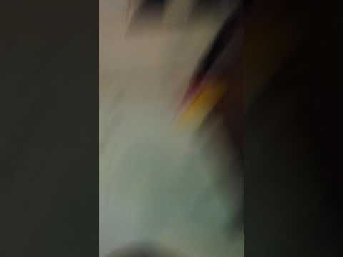 Doll can fart