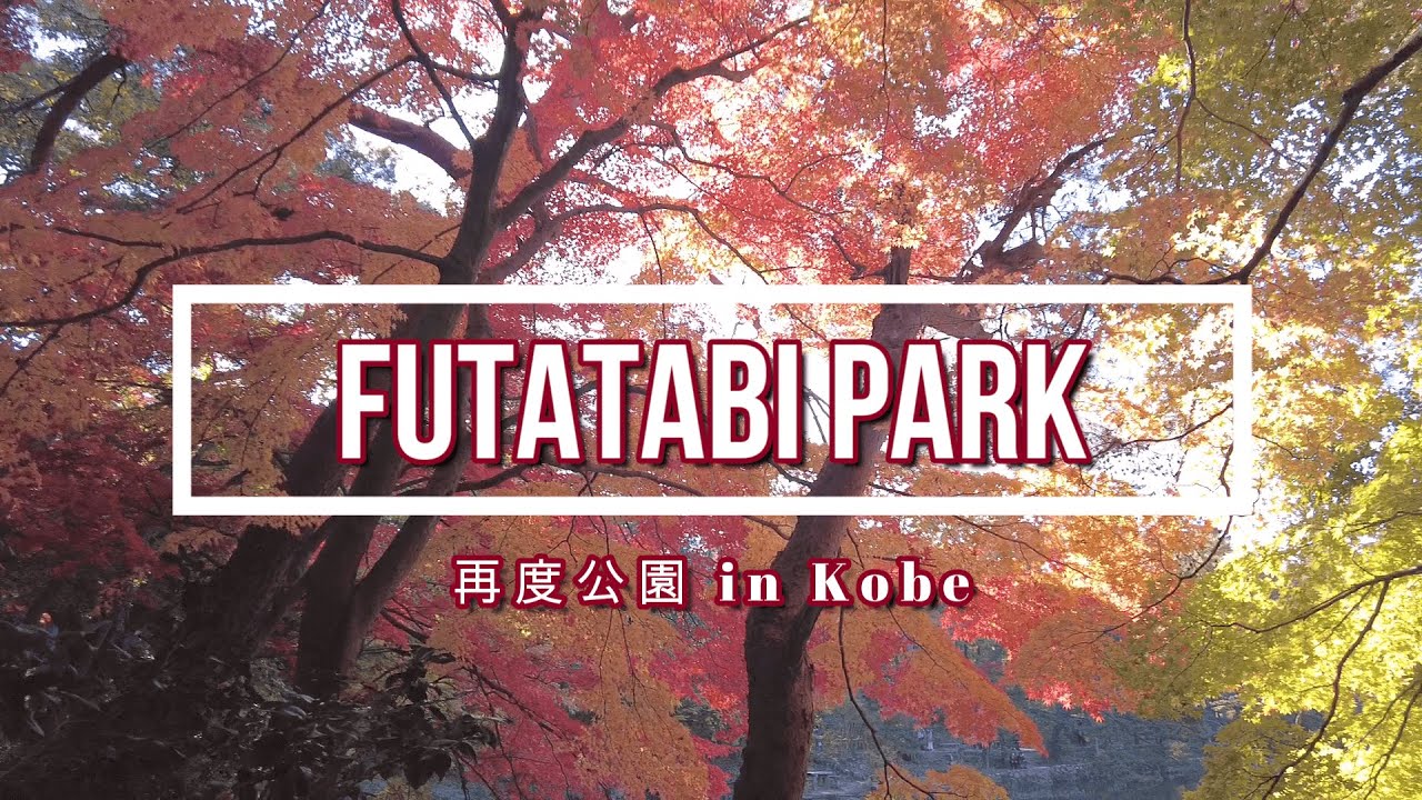 🍁 Autumn Foliage in Futatabi park in Kobe | 🍂再度公園の圧巻の紅葉を堪能！ - YouTube