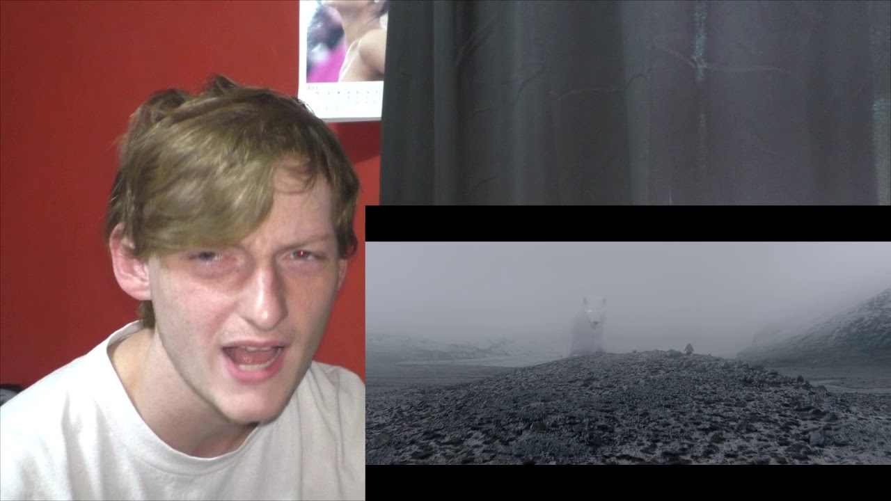 Zacari - Lone Wolf - FIRST REACTION - Skogey - YouTube