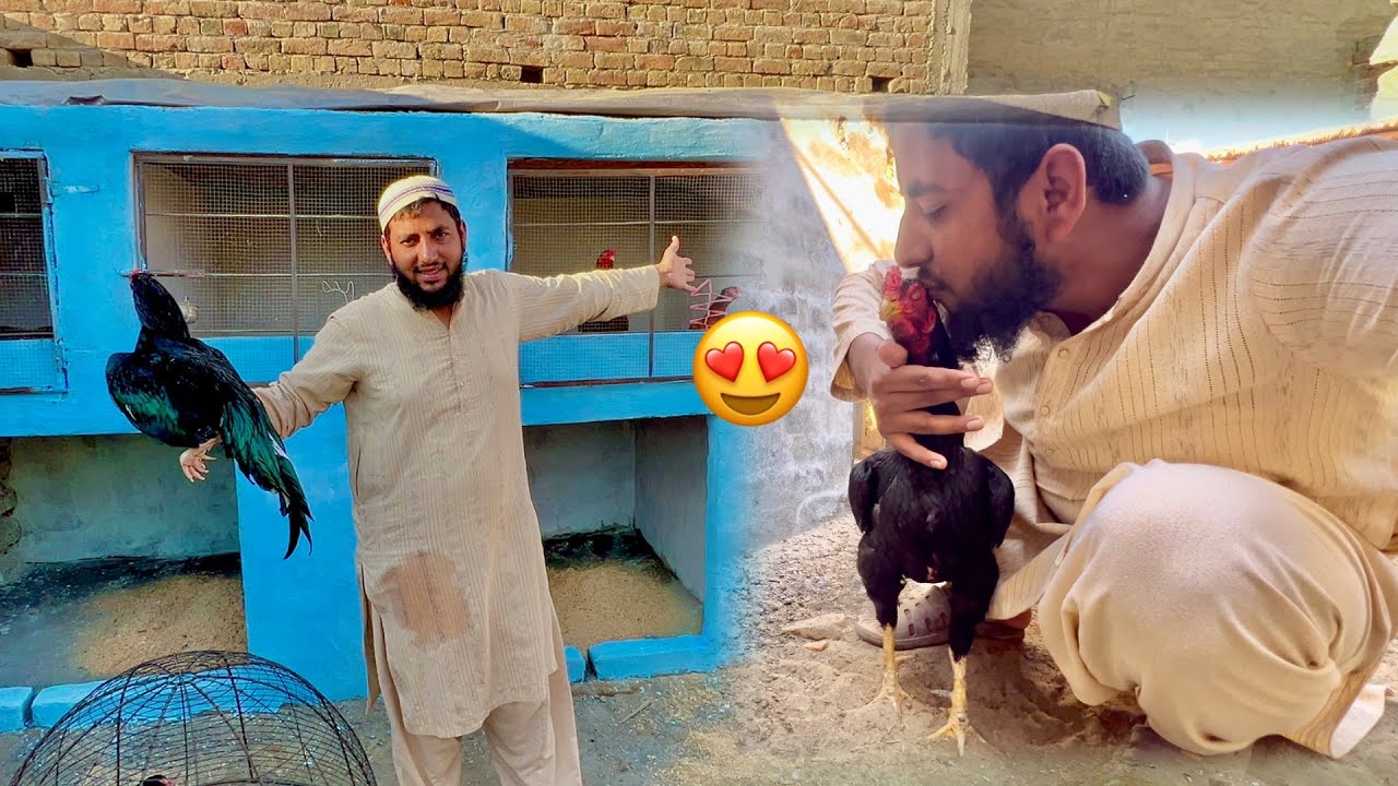 Aj Farm Ko 4 Chand Lg Gae 😍 - YouTube