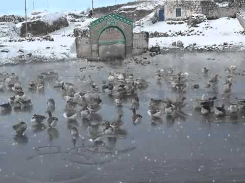 ASHIQ MAKSUT FERYADI _ ASHIQ ZULFIYYE - LAYLAY de LAYLAY