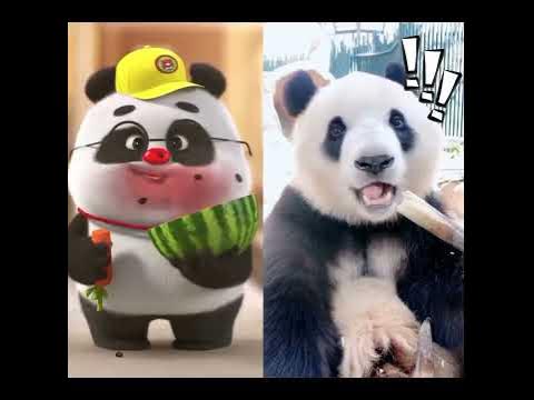 【Bamboo Panda ️】Big hug from Bamboo 🥳🥳 | Chinese Short Animation I熊猫班卜 ...
