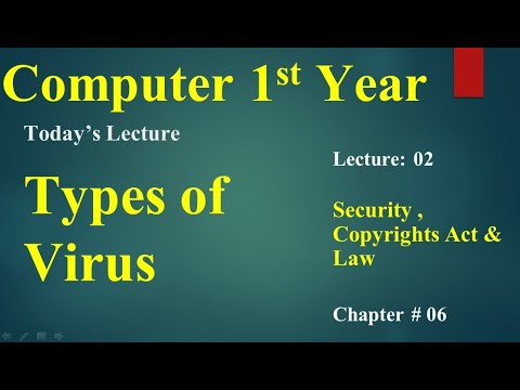 computer 1st year chapter no 06 lecture no 2 types of Virus - YouTube