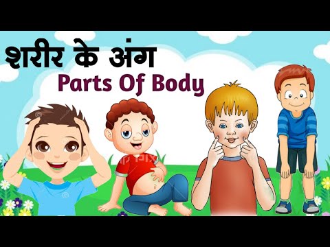 Body Parts | Parts Of Body With Spelling For Kids | Basic Study - YouTube
