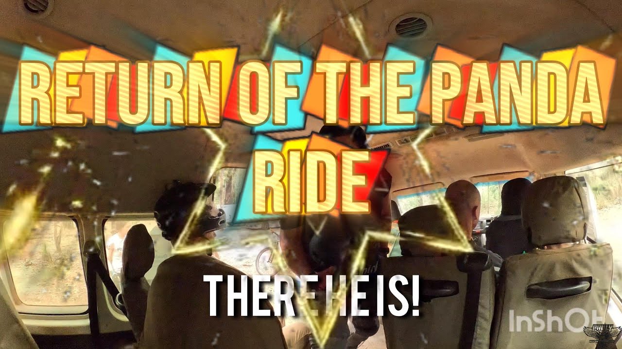 Return of the Panda | Mt Gunjin Trails #wakandaforever - YouTube