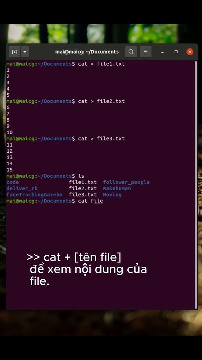 Lệnh cat trong ubuntu - YouTube