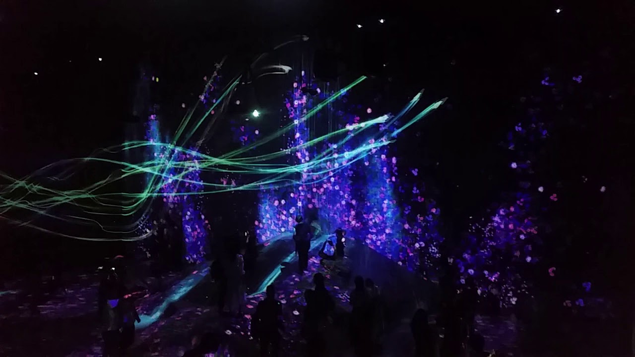 Team lab Borderless - Waterfall - YouTube