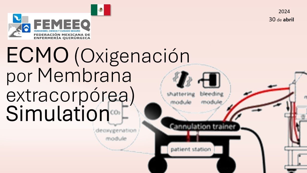ECMO Oxigenación por Membrana extracorpórea Simulation - YouTube