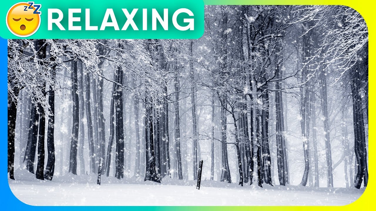 ️ RELAXING Snow Falling Sound (1 MINUTE) Short White Noise ASMR effect ...