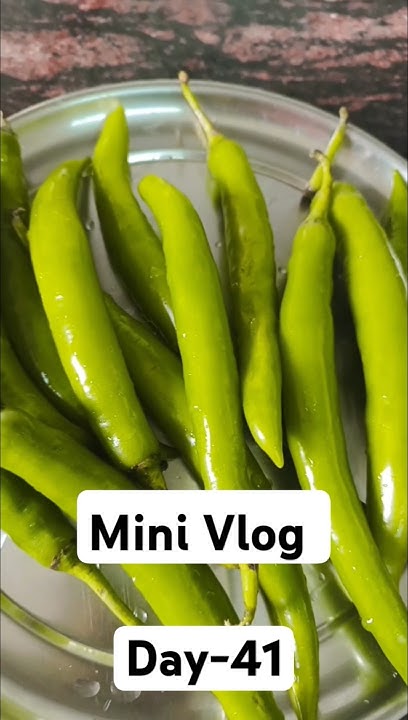 #minivlog #vlog #vlogger #vloglife #vlogging #vloger #reels #blogger #instagood #fyp #vlogchanel ...