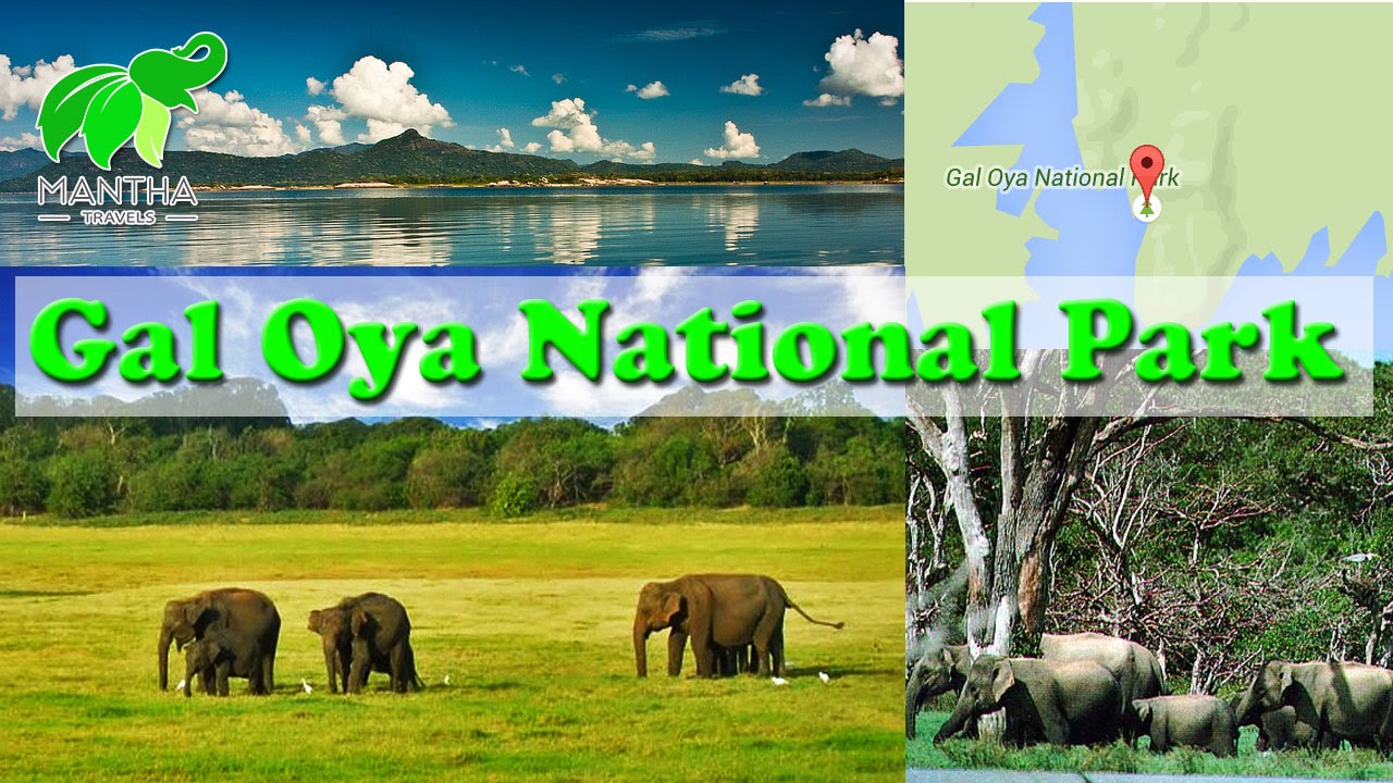 Gal Oya National Park - Senanayake Samudraya - Sri Lanka - www ...