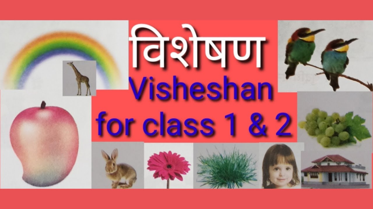 विशेषण हिंदी व्याकरण// Visheshan Hindi Grammar- for class 1 & 2. - YouTube