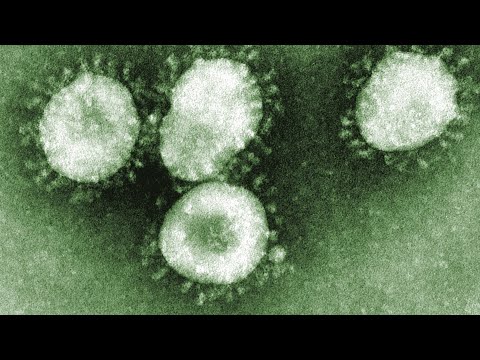 Yiyip içince COVID-19'u(koronavirüs) iyileştirmeyen şeyler