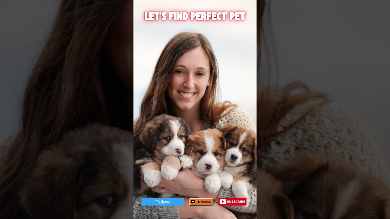 let's find Perfect Pet For Home #makemypet #petsshortvideo # ...