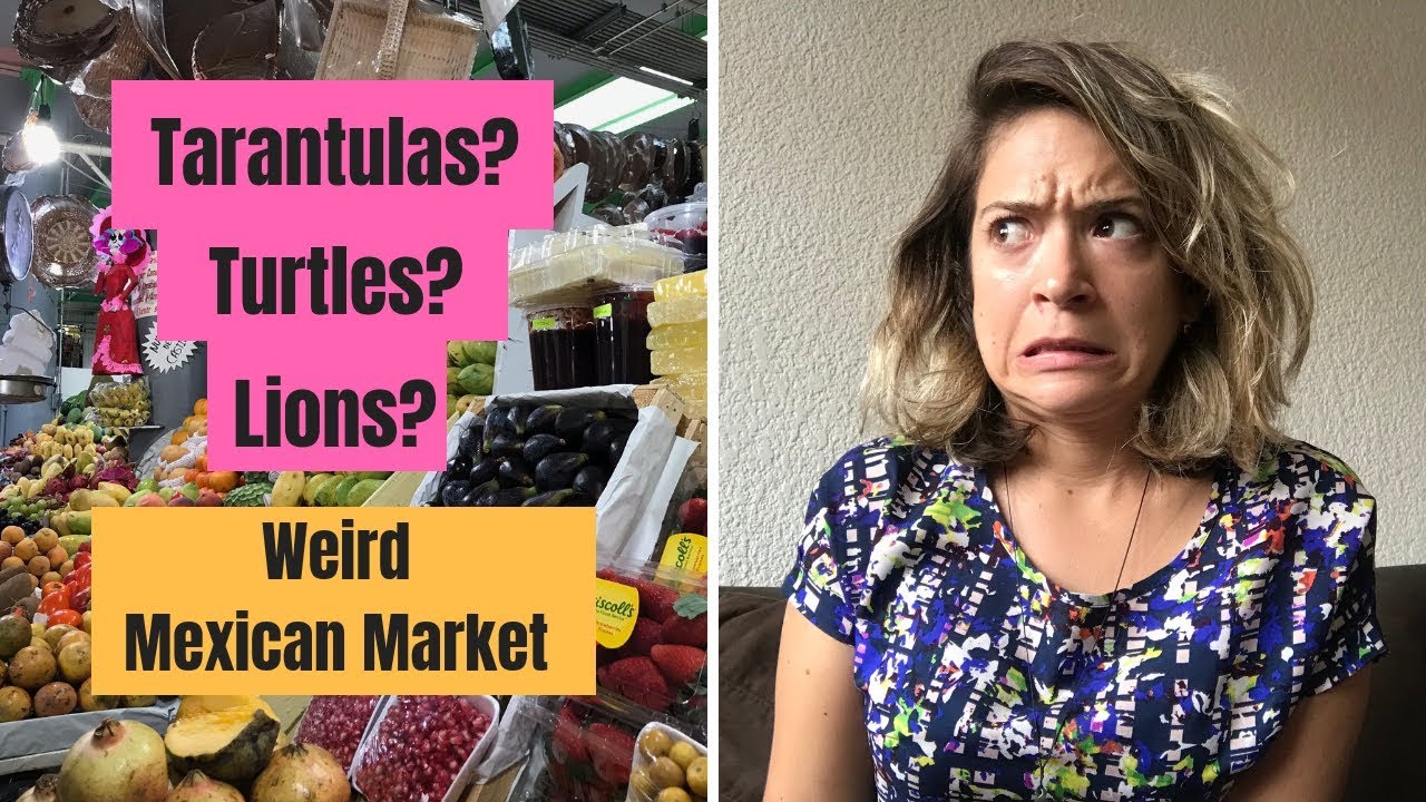 Weird Foods in San Juan Market | Things to Do in Mexico City - YouTube