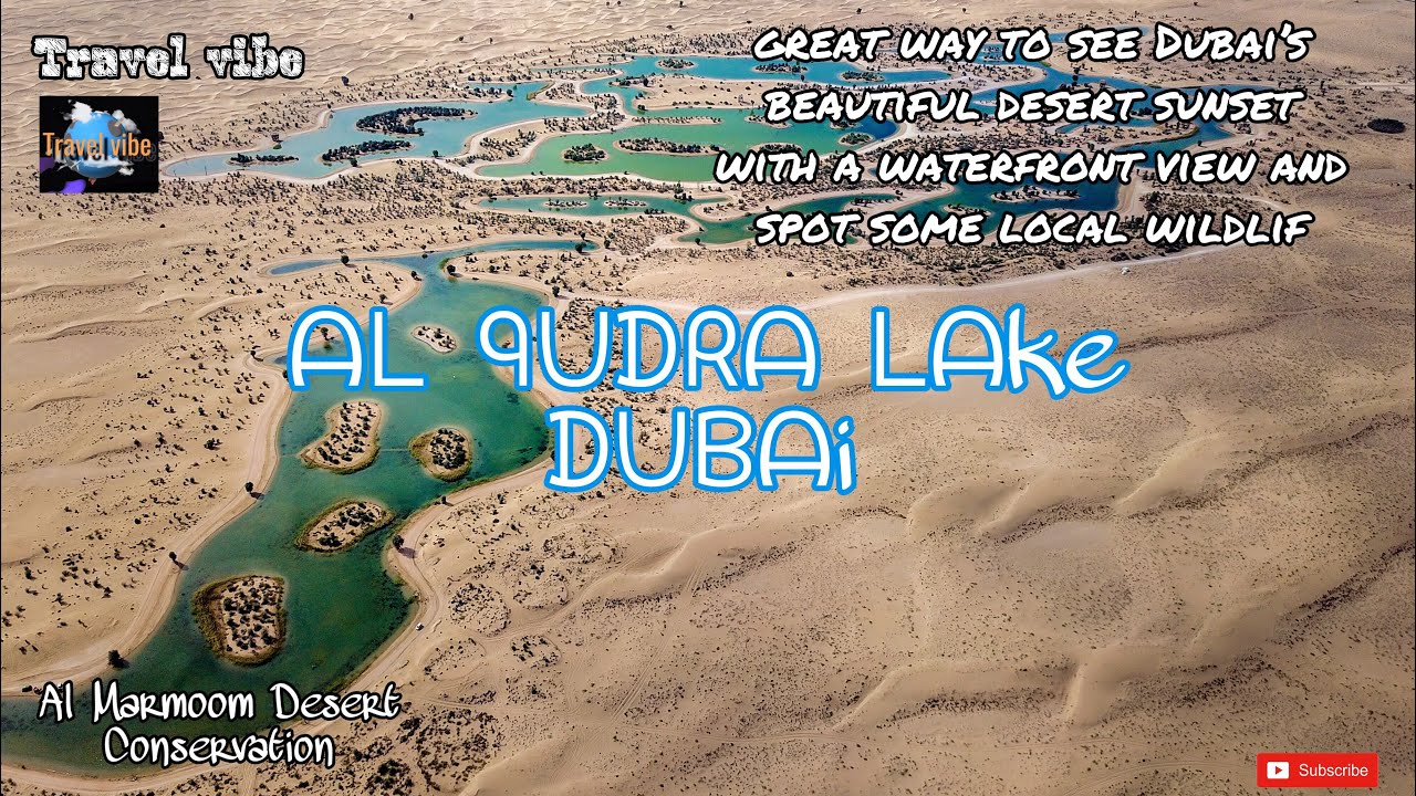 Al Qudra lake Dubai | love lakes | Al Marmoom Desert Conservation ...