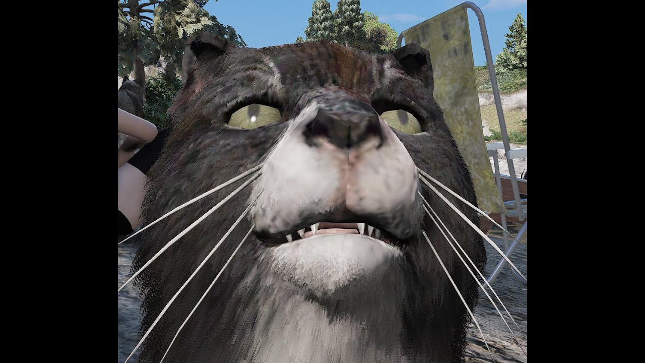 Les Chroniques de Weazy n°1 - YouTube