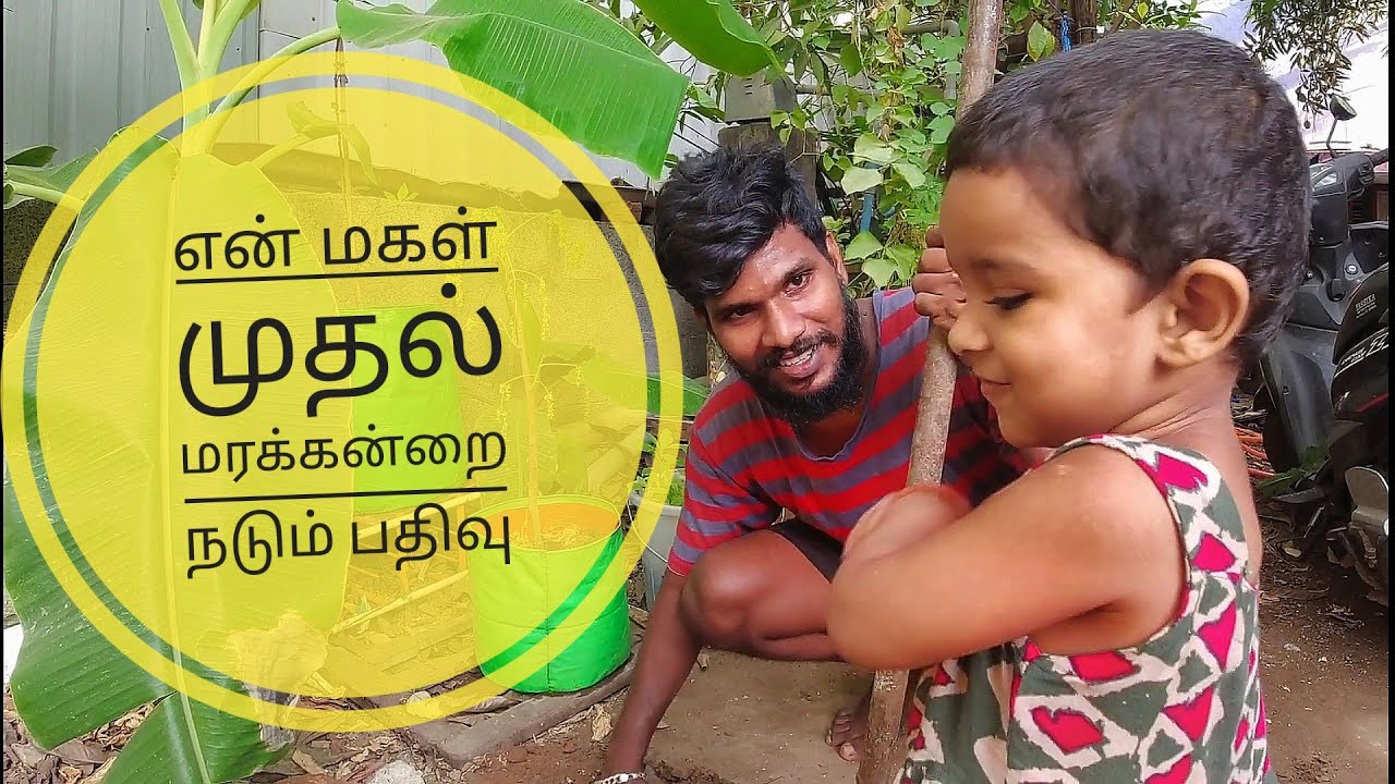 Planted Trees with my Daughter 🌿. | Let's all Plant Trees and Support ...