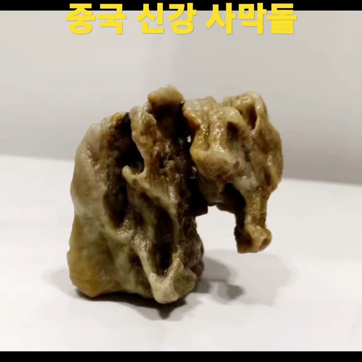 사막의 보물 #suseok - YouTube