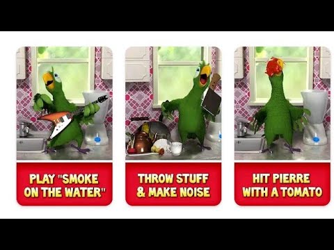 Talking Pierre The Parrot 🦜🦜! Talking Pierre is in the House # ...