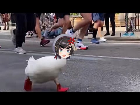 Subaru duck running away | Animal hololive - YouTube
