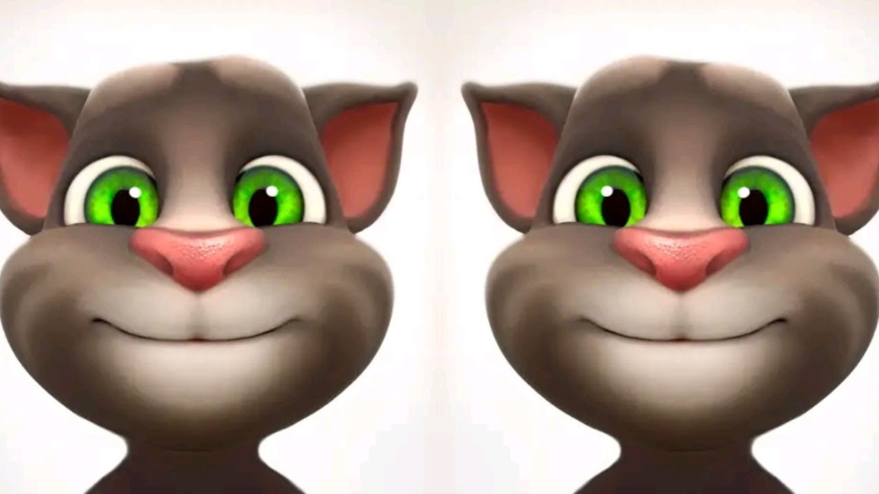 Talking Tom Cat - YouTube
